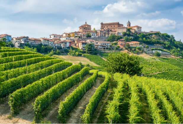 Best Italy Wine Tours | Italy-Explore
